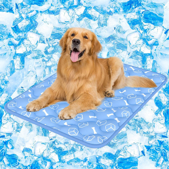 PupChill